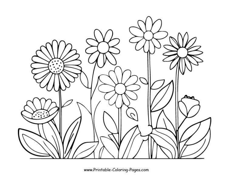 Gorgeous Flowers Coloring Pages To Download: Experience Joy And ...
